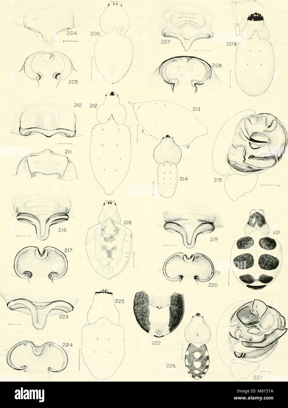 This bulletin, published by the Museum of Comparative Zoology at ...