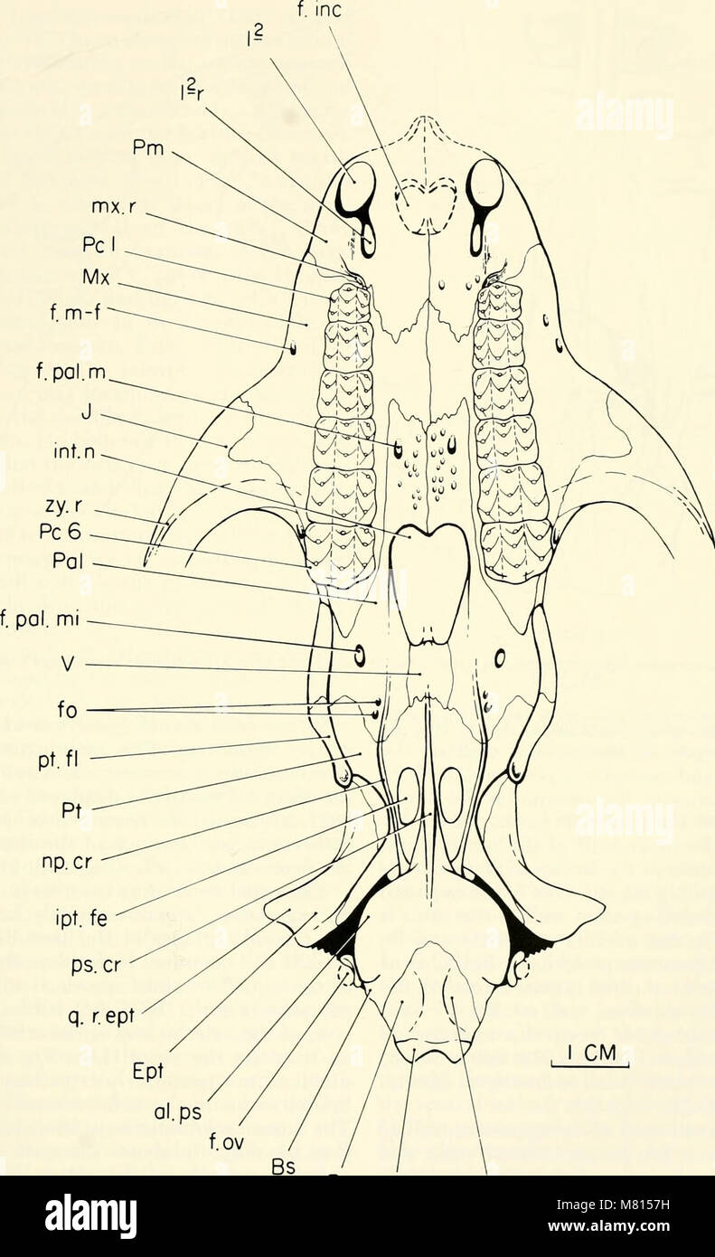 A publication series from the Museum of Comparative Zoology at Harvard ...