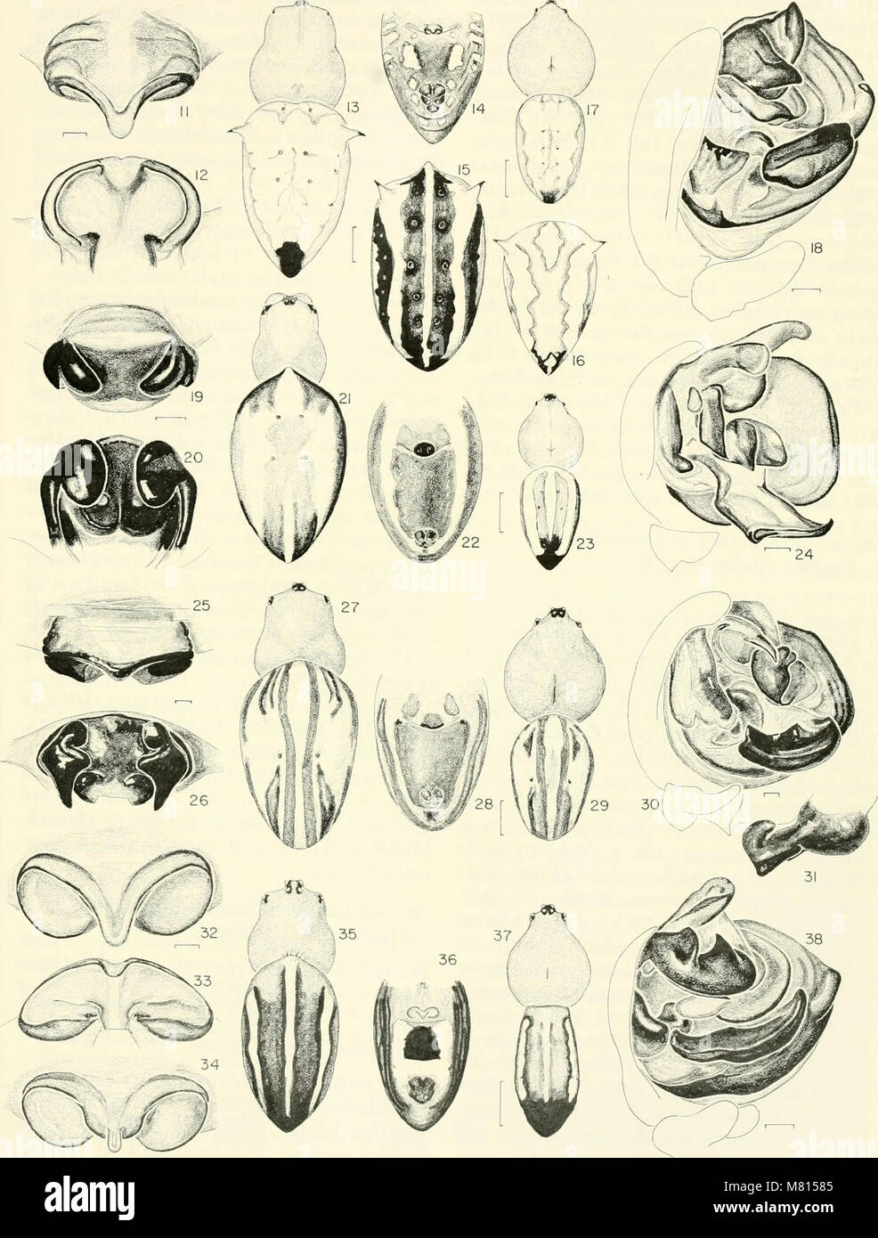 The 'Bulletin of the Museum of Comparative Zoology at Harvard College ...