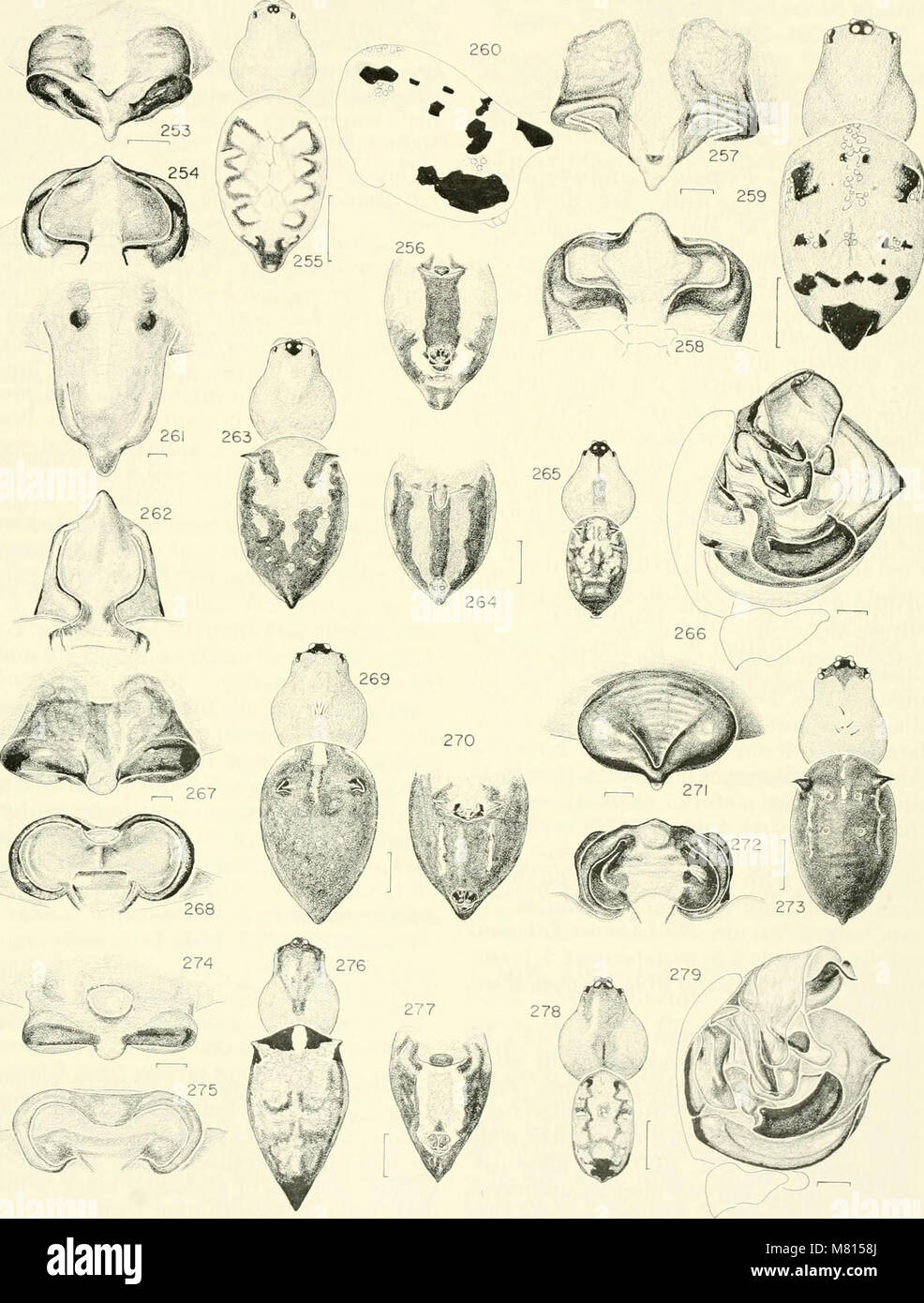 The 'Bulletin of the Museum of Comparative Zoology at Harvard College ...