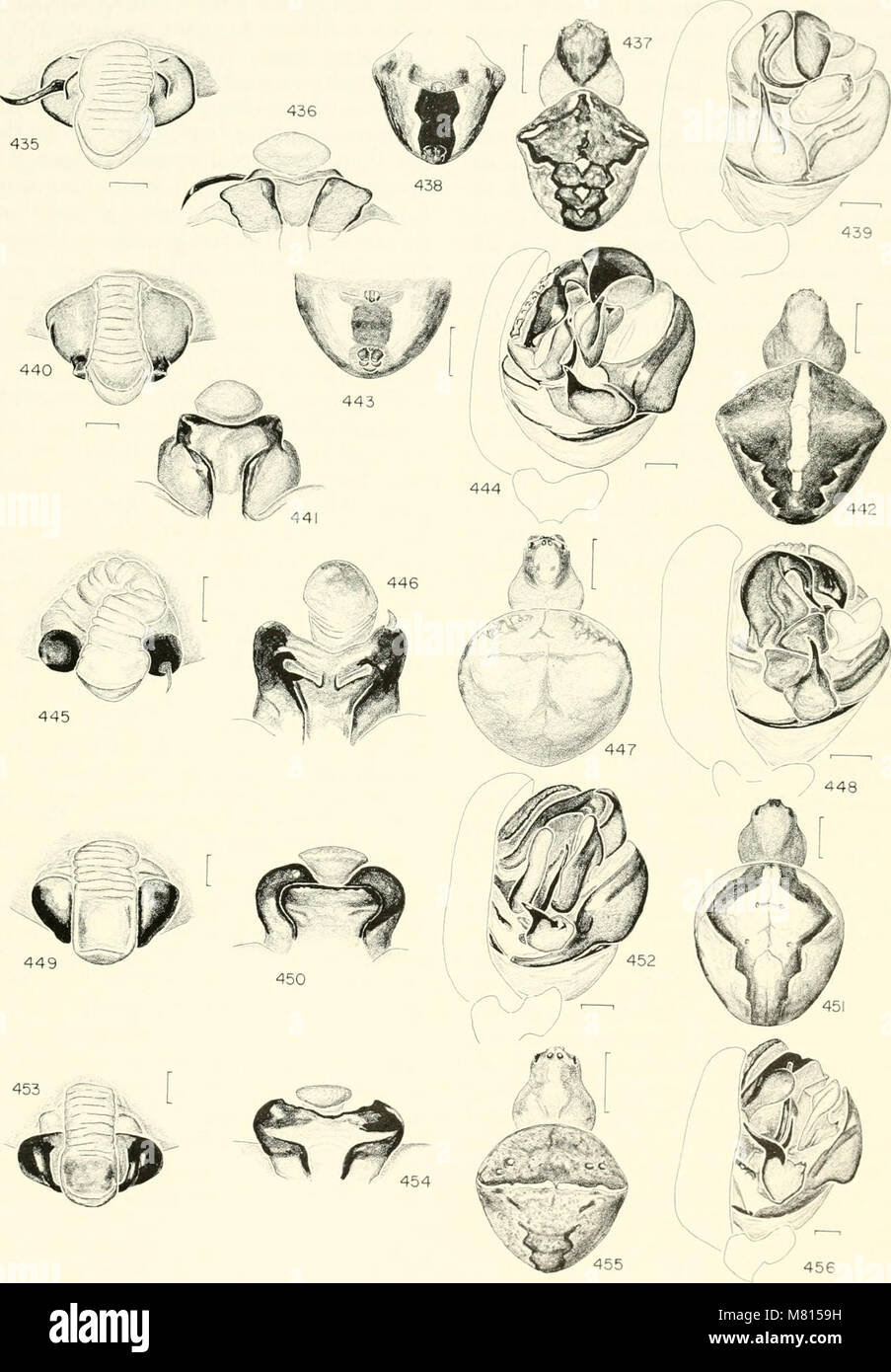 The Bulletin of the Museum of Comparative Zoology at Harvard College ...