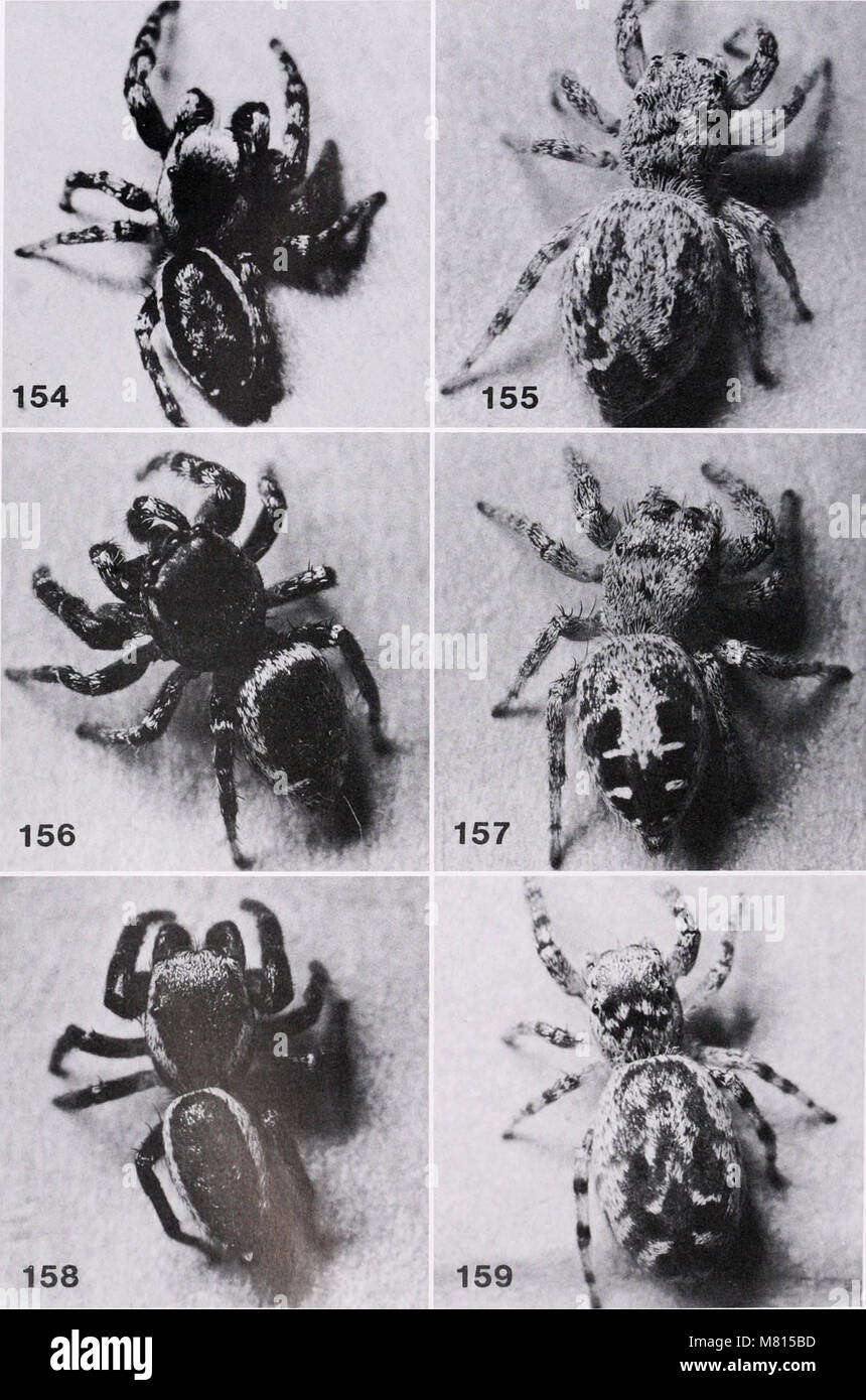 The Bulletin of the Museum of Comparative Zoology at Harvard College ...