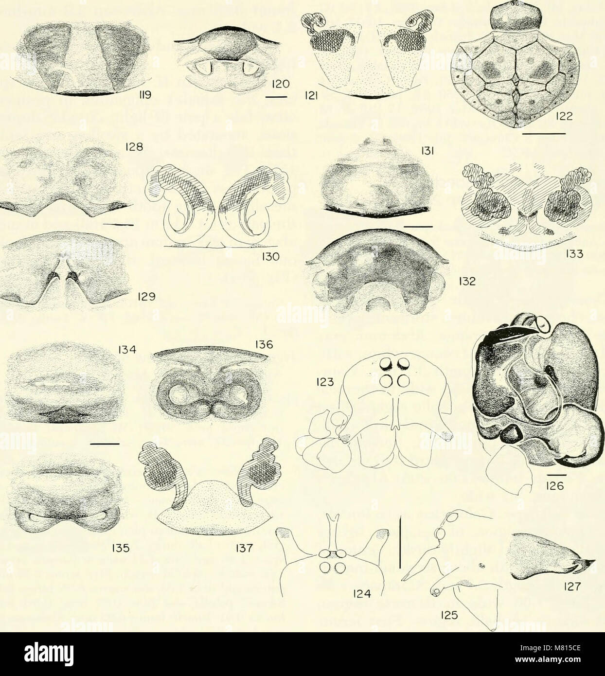 The Bulletin of the Museum of Comparative Zoology at Harvard College ...
