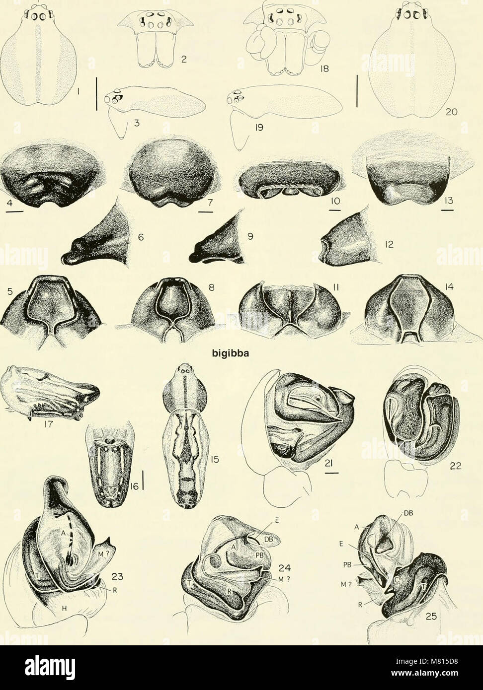 The 1996 Bulletin of the Museum of Comparative Zoology at Harvard ...