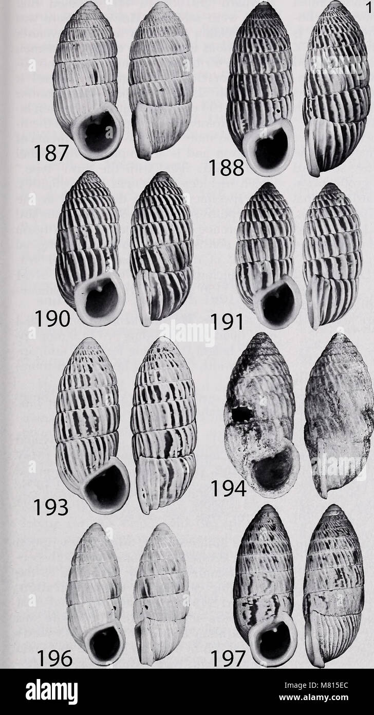 The Bulletin of the Museum of Comparative Zoology at Harvard College ...