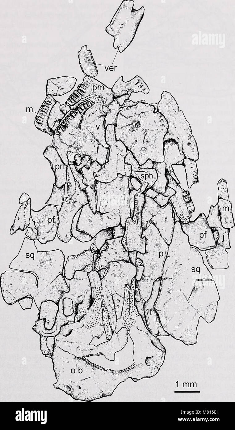 The 2003 *Bulletin of the Museum of Comparative Zoology* at Harvard ...