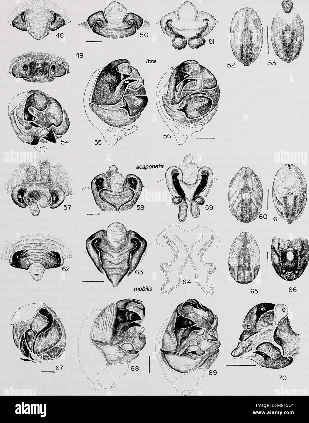 The 2003 Bulletin of the Museum of Comparative Zoology at Harvard ...