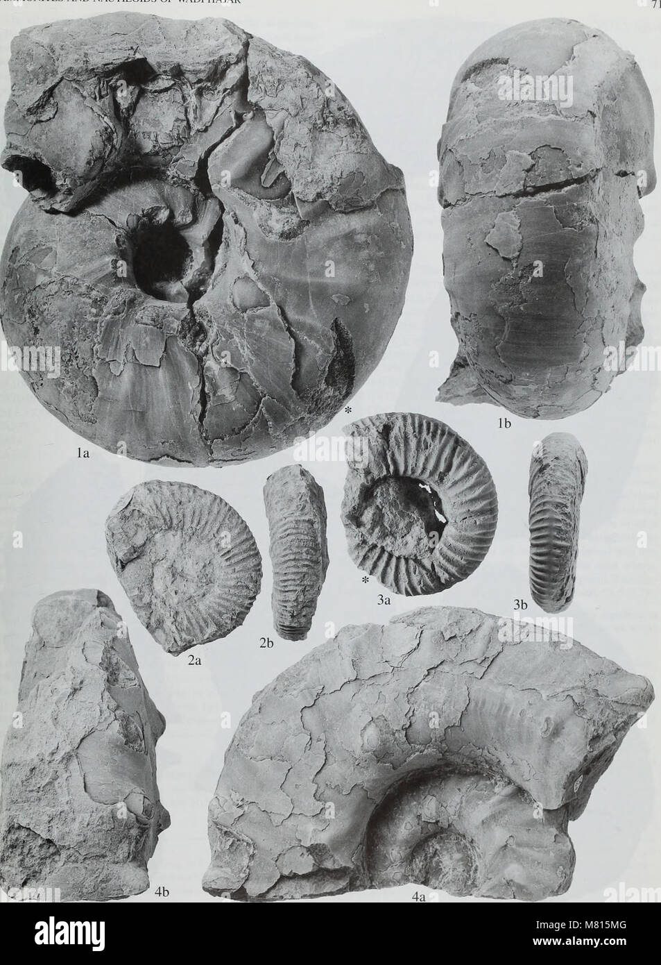 This 1998 bulletin presents the latest geological research and findings ...