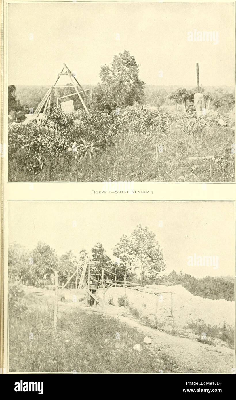 This bulletin from Denison University's scientific laboratories covers ...