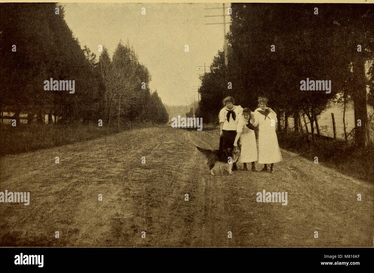 Bulletin of the State Normal School, Fredericksburg, Virginia, June ...