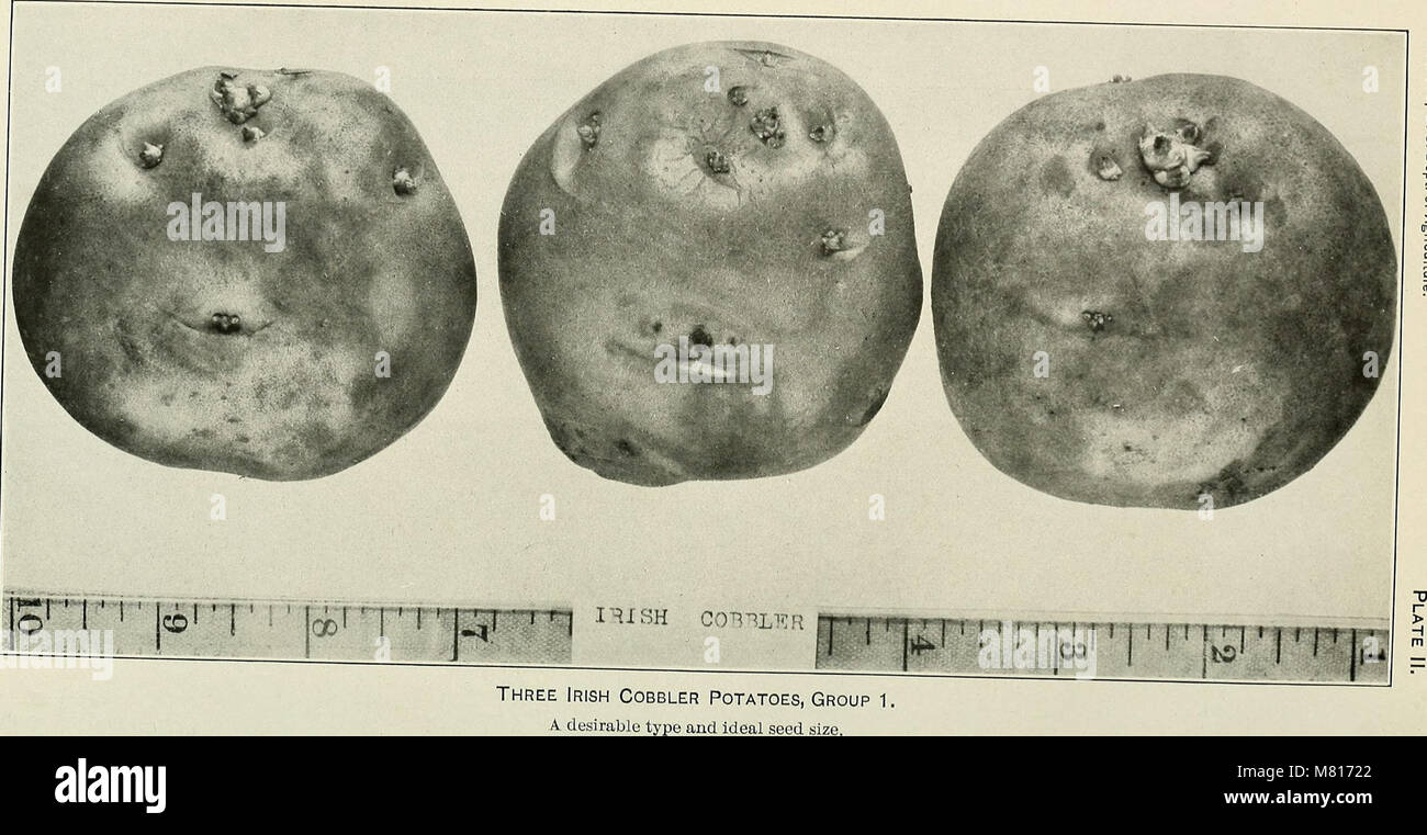 *Bulletin of the U.S. Department of Agriculture* (1913-1923) is a ...