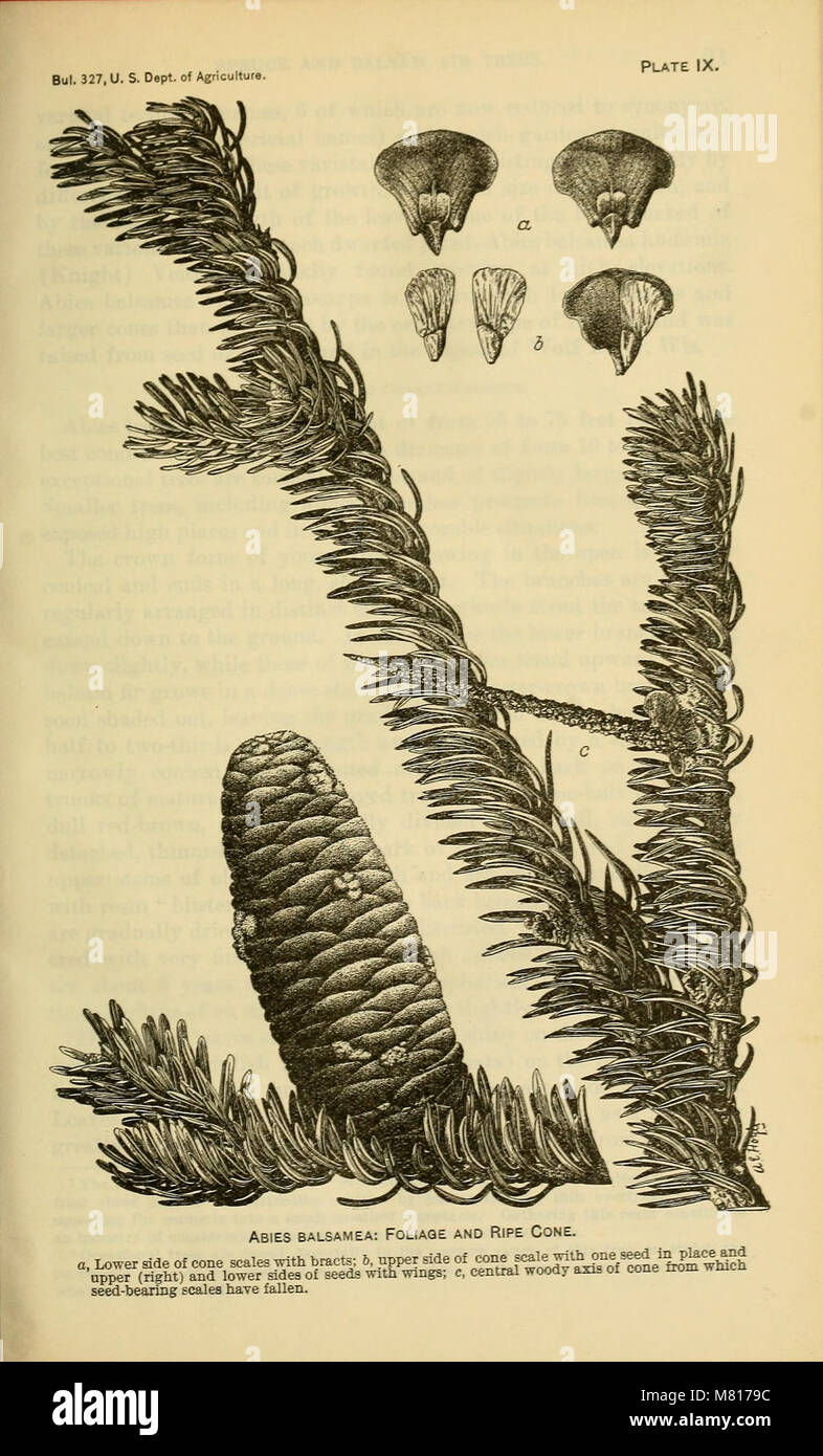 The Bulletin of the U.S. Department of Agriculture, covering the years ...