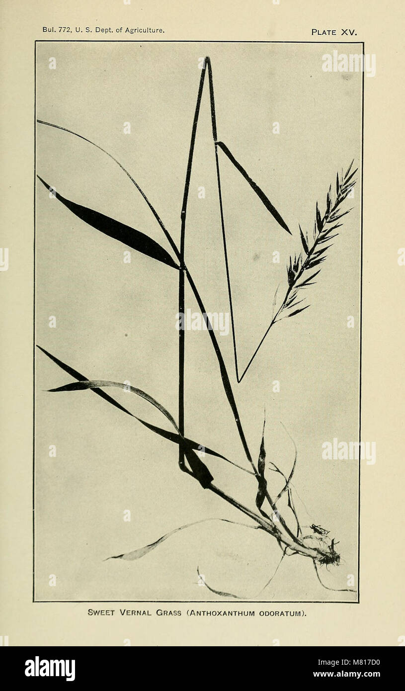 A series of bulletins from the U.S. Department of Agriculture published ...
