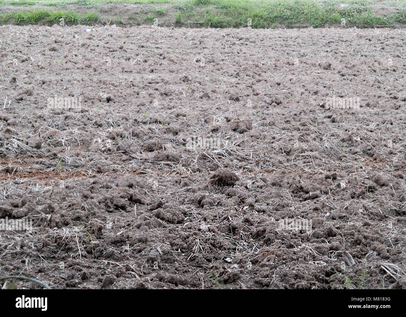 Planting soil, suitable for plant growth Stock Photo - Alamy