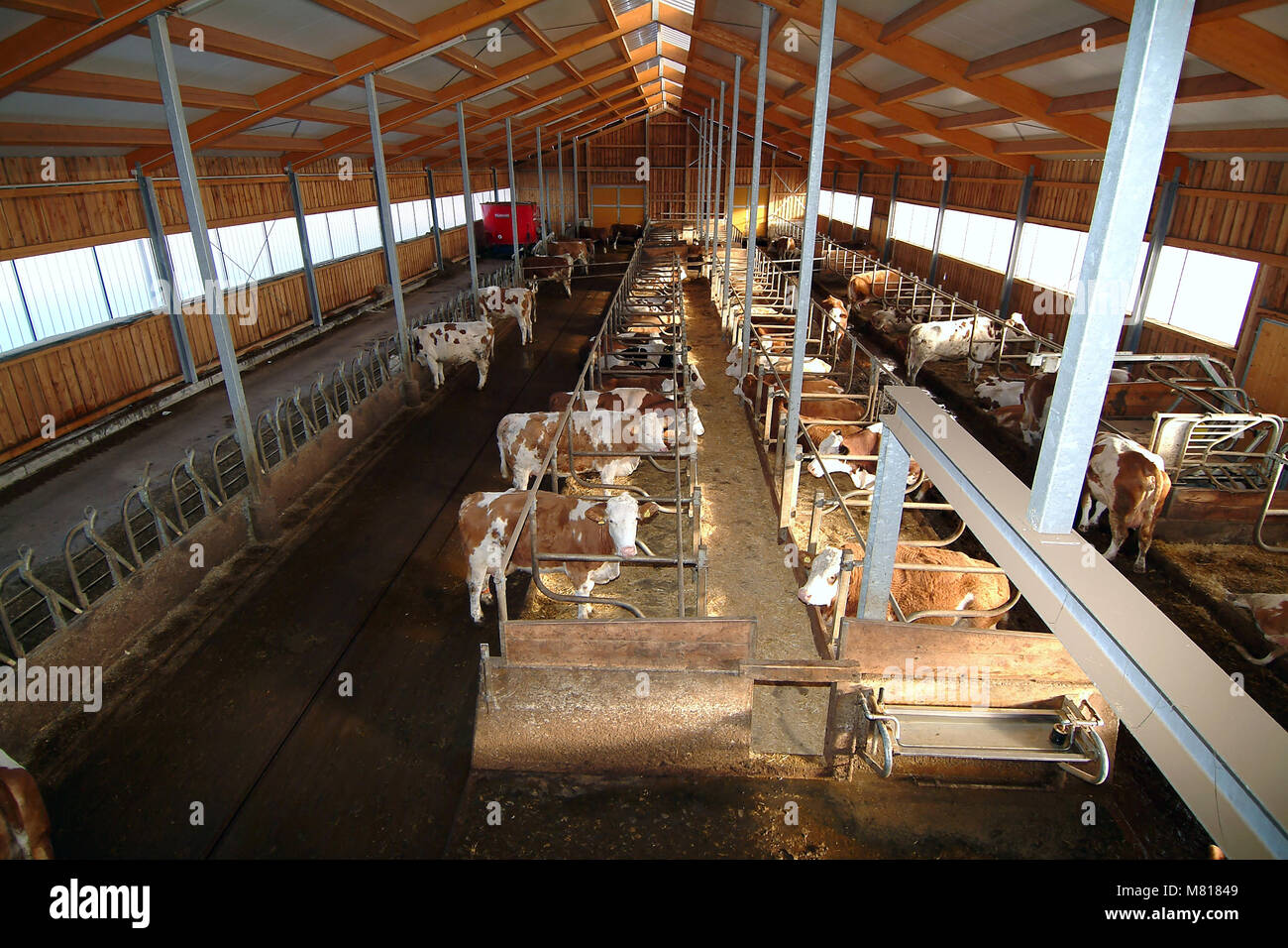 Co operation stables hi-res stock photography and images - Alamy