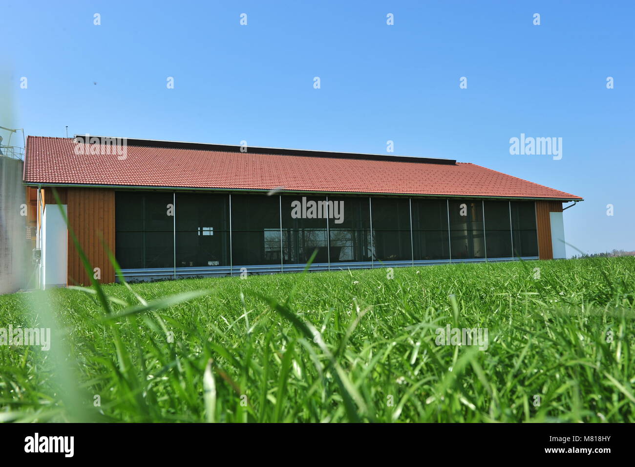 Free stall barns hi-res stock photography and images - Alamy