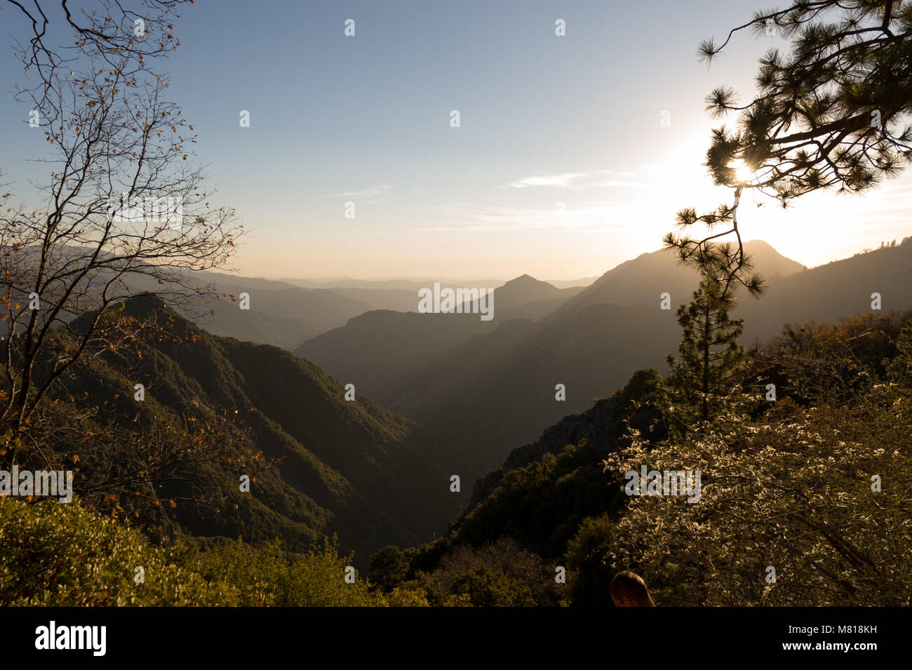 Kings canyon sequoia national park hi-res stock photography and images ...