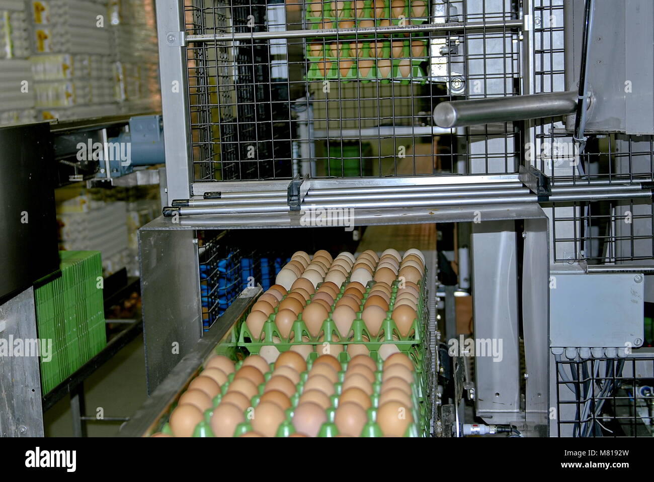 Egg packaging 18 Stock Photo - Alamy