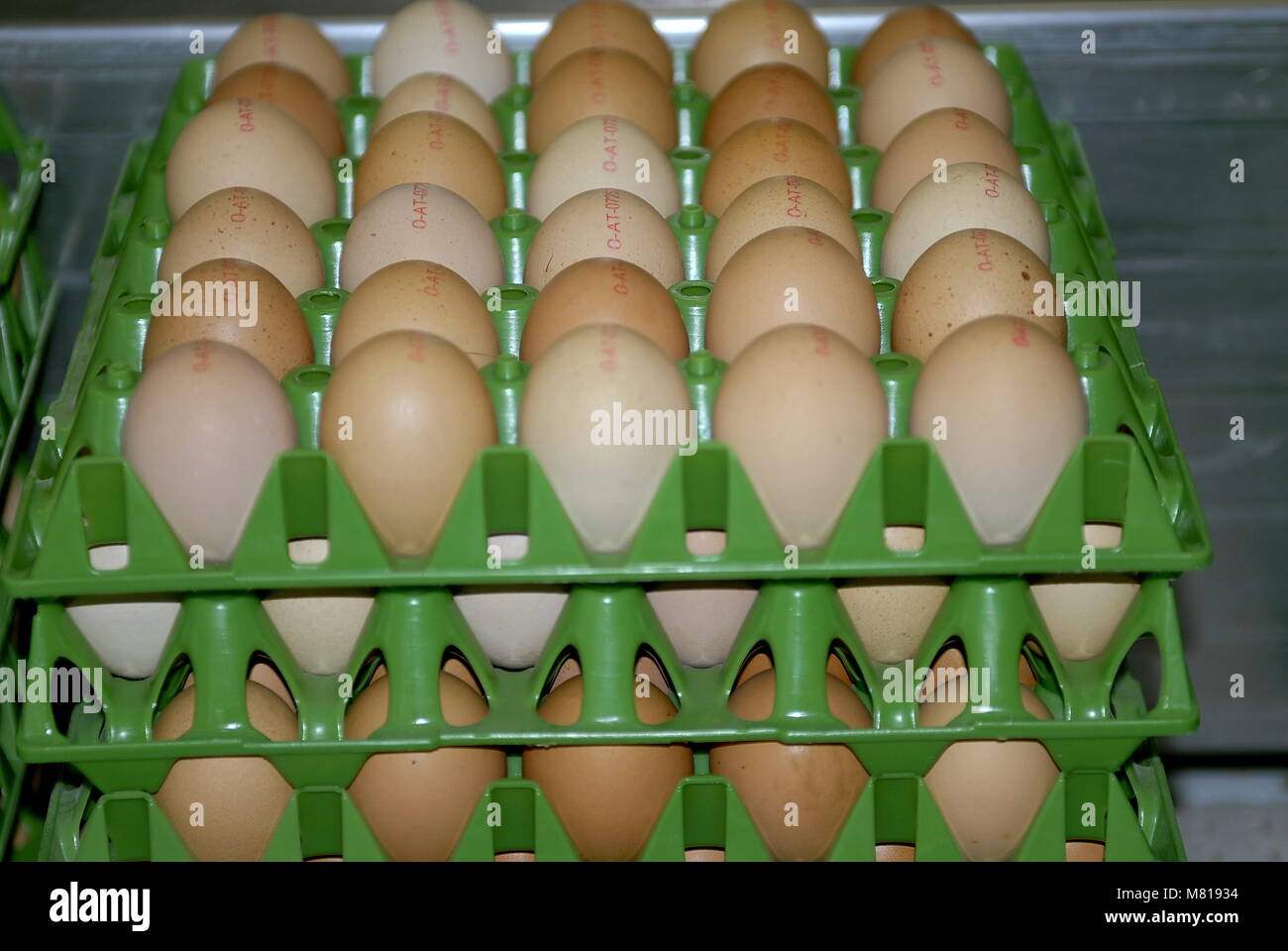 Egg packaging 20 Stock Photo - Alamy