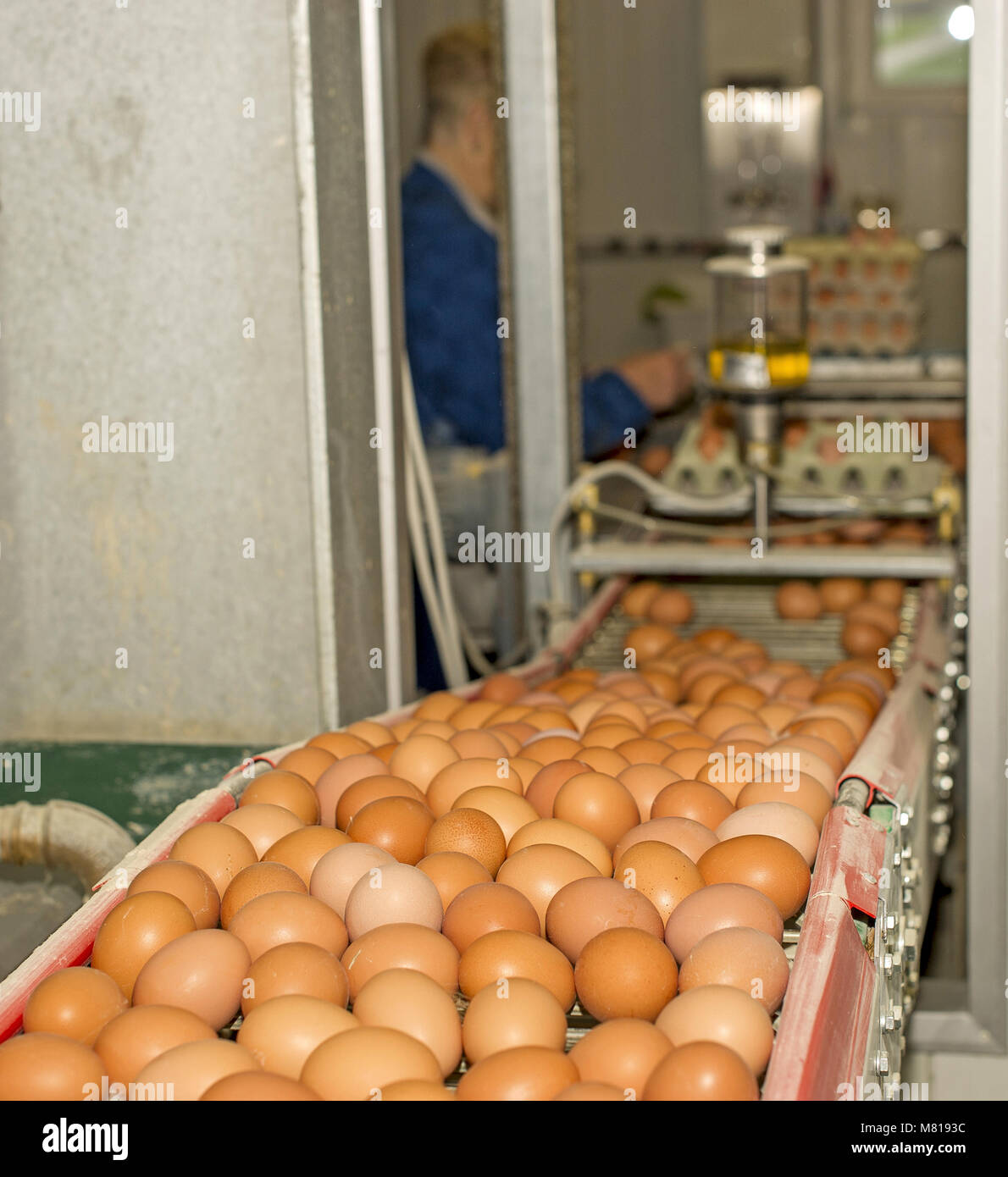 Egg packaging 3 Stock Photo - Alamy