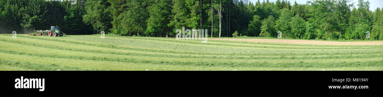Harvest farm produced fodder hi-res stock photography and images - Alamy
