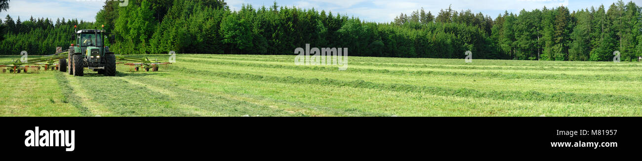 Ensile grass hi-res stock photography and images - Alamy