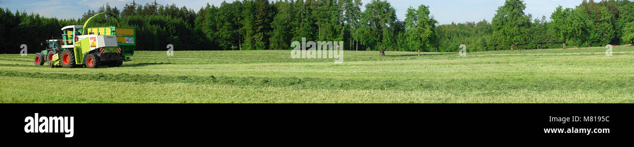 Ensile grass clover hi-res stock photography and images - Alamy