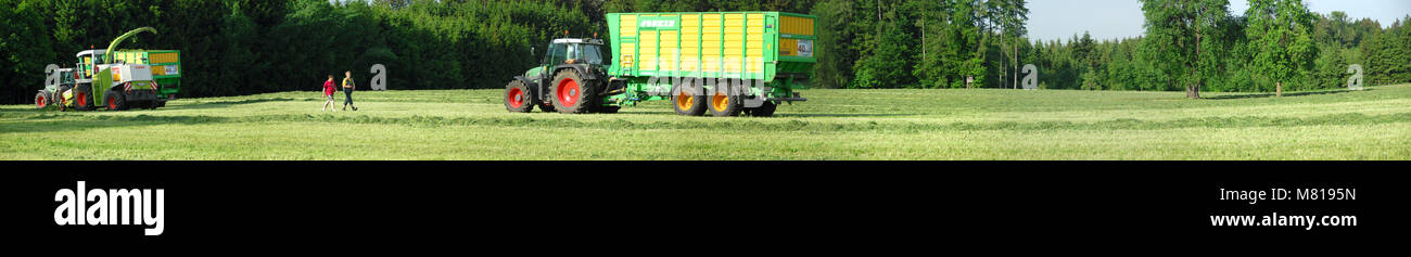 Ensile grass hi-res stock photography and images - Alamy