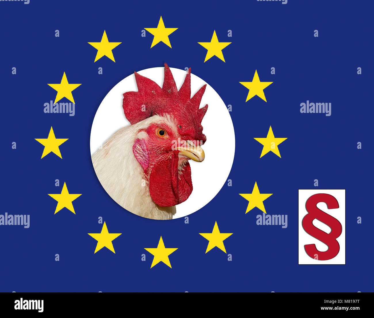 Rooster cross hi-res stock photography and images - Alamy