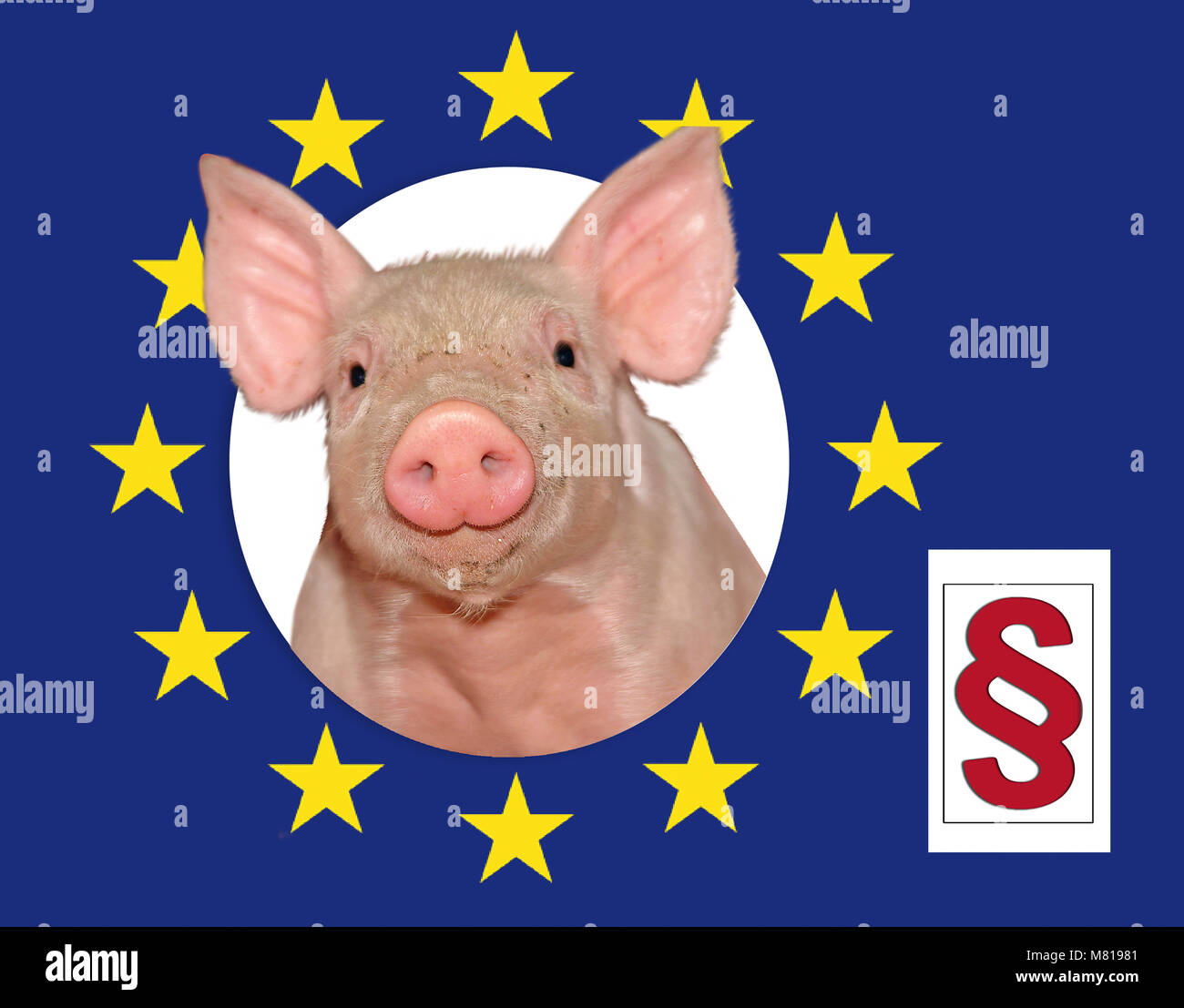 EU and swine Stock Photo - Alamy
