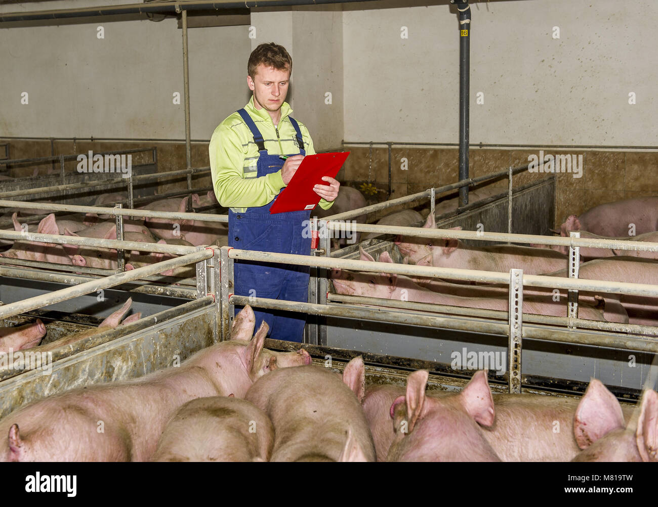 Pigpen Systems High Resolution Stock Photography and Images - Alamy