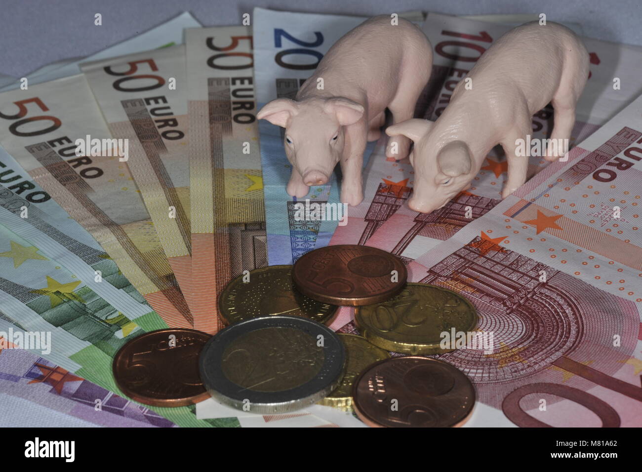 Charges pig hi-res stock photography and images - Alamy