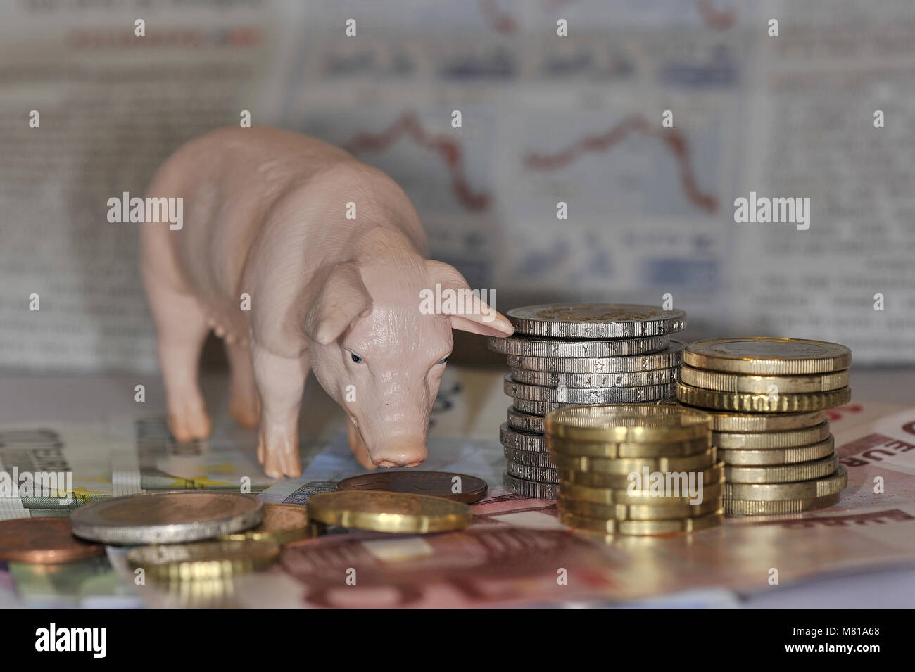 Charges pig hi-res stock photography and images - Alamy