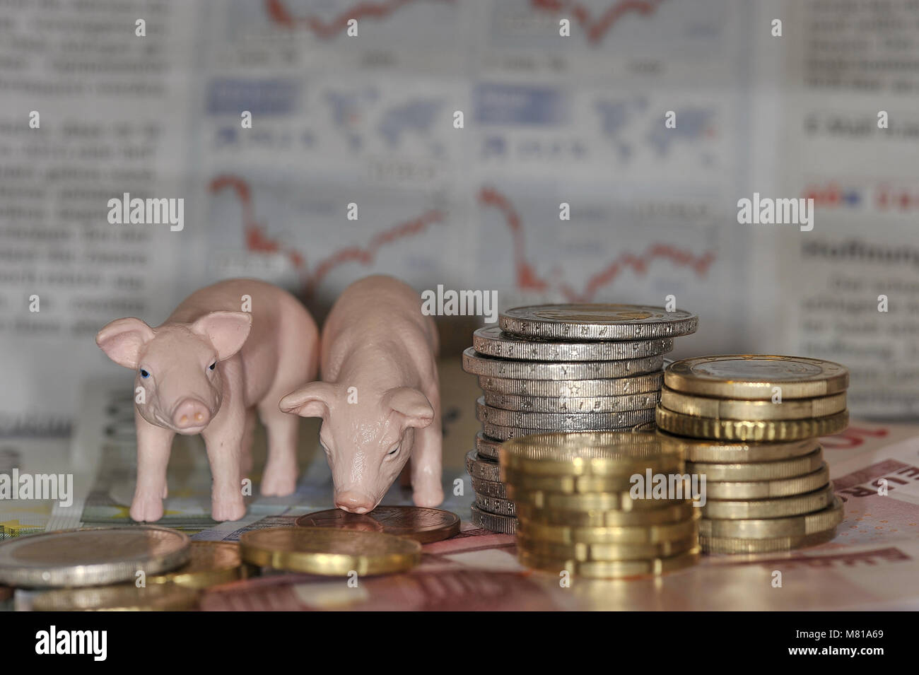 Charges pig hi-res stock photography and images - Alamy