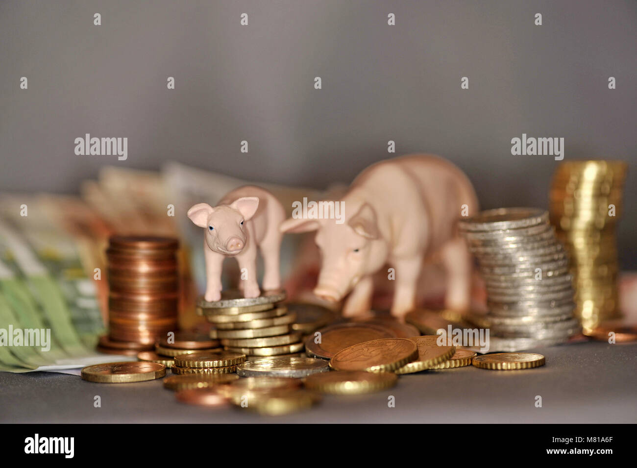 Finances pig 25 Stock Photo - Alamy