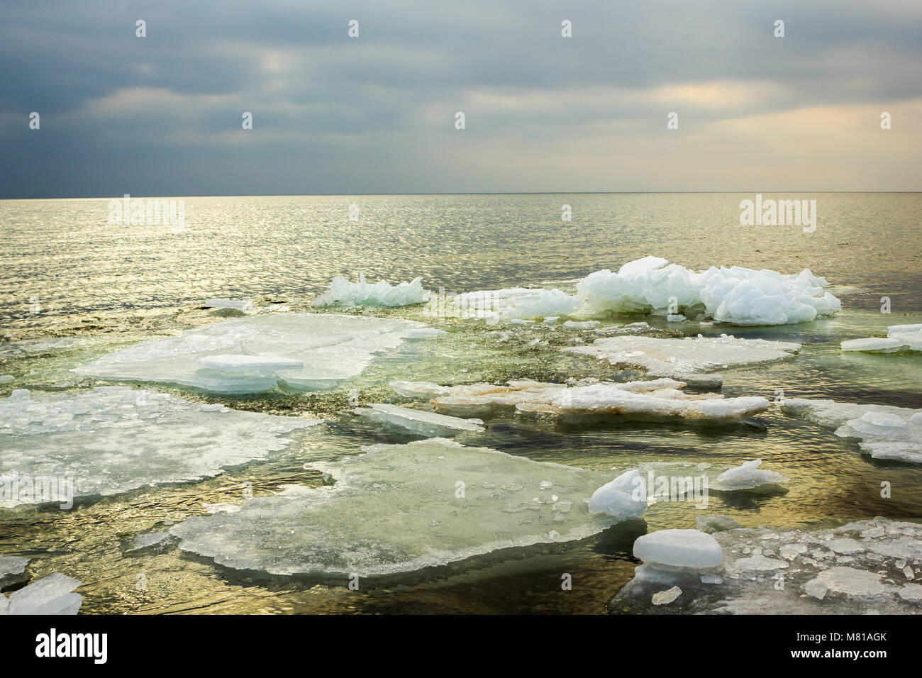 Baltic Sea Beach with Ice Floating in a Water, through Natural Frame of ...