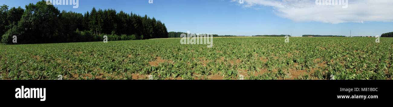 Hail destructions hi-res stock photography and images - Alamy