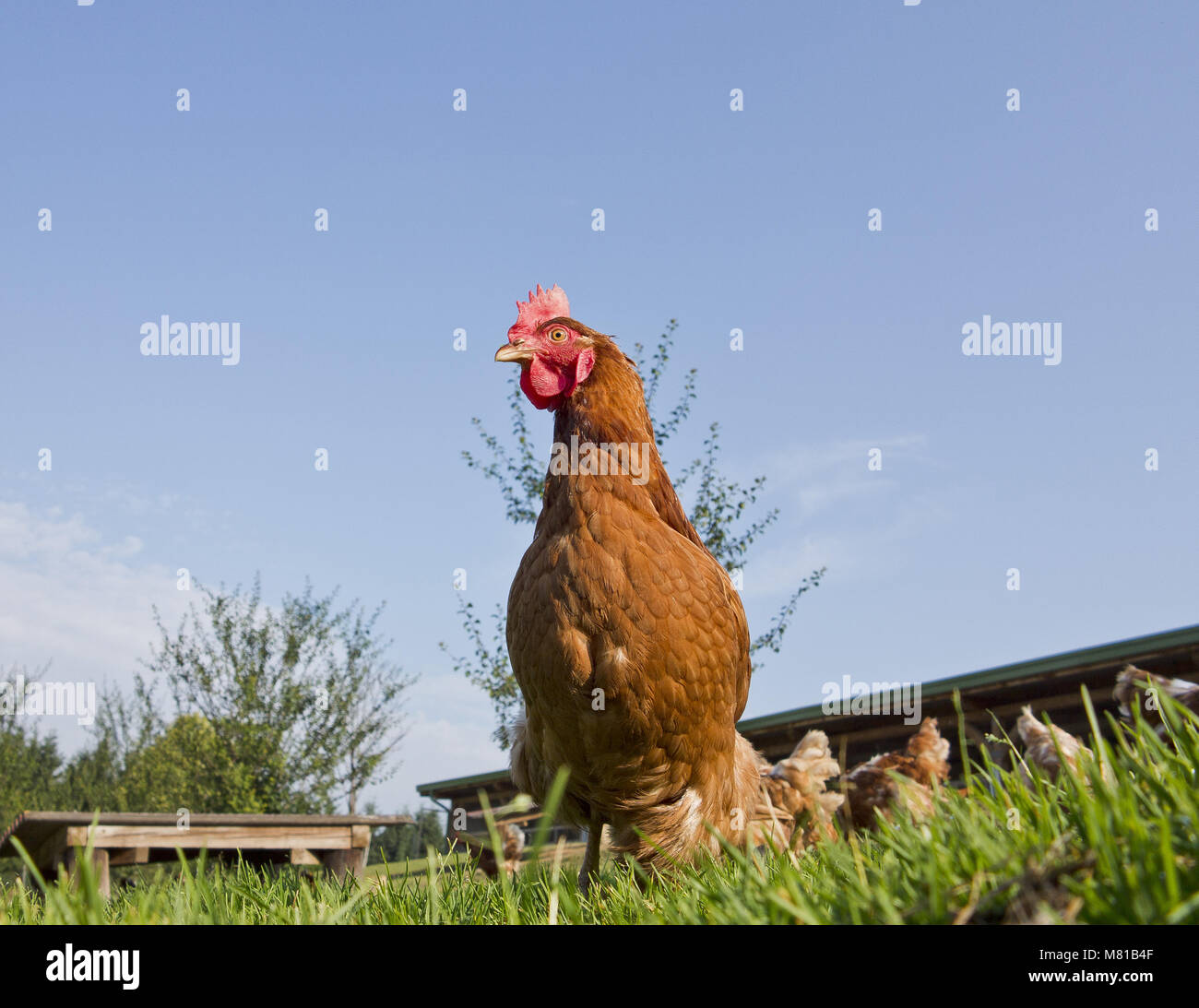 Range 37 hi-res stock photography and images - Alamy