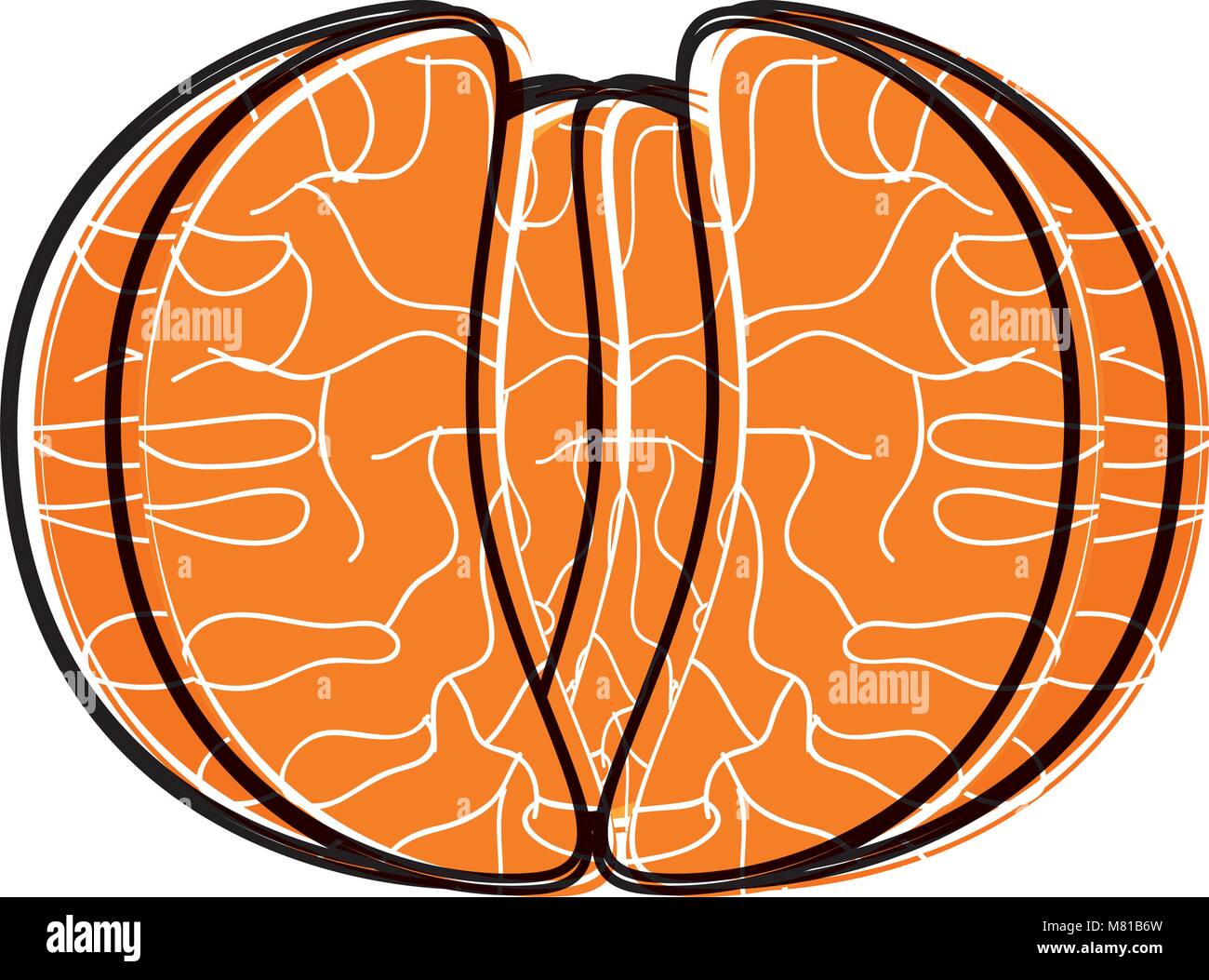 tangerine segments icon over white background, colorful design. vector ...
