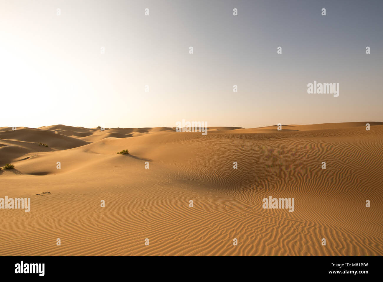 Sand Dunes, Abu Dhabi, UAE Stock Photo - Alamy