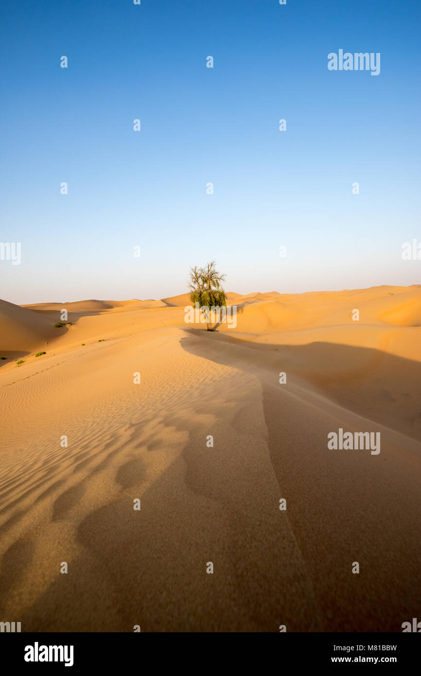Sand Dunes, Abu Dhabi, UAE Stock Photo - Alamy