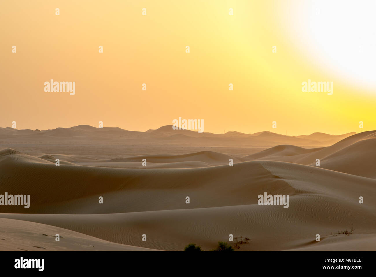 Sand Dunes, Abu Dhabi, UAE Stock Photo - Alamy