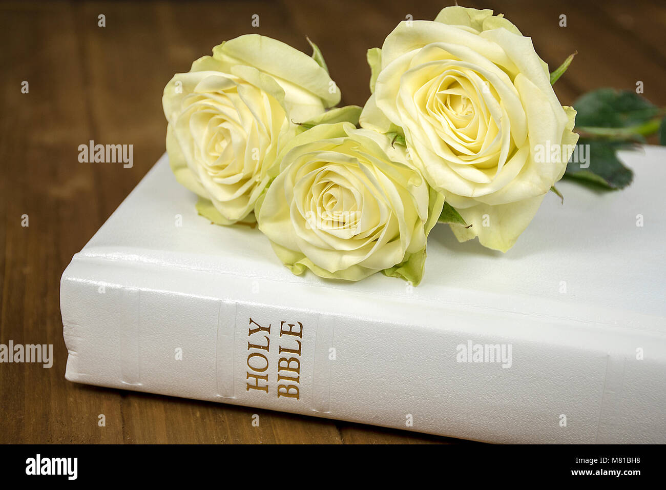 roses and white Holy Bible on dark wood Stock Photo - Alamy