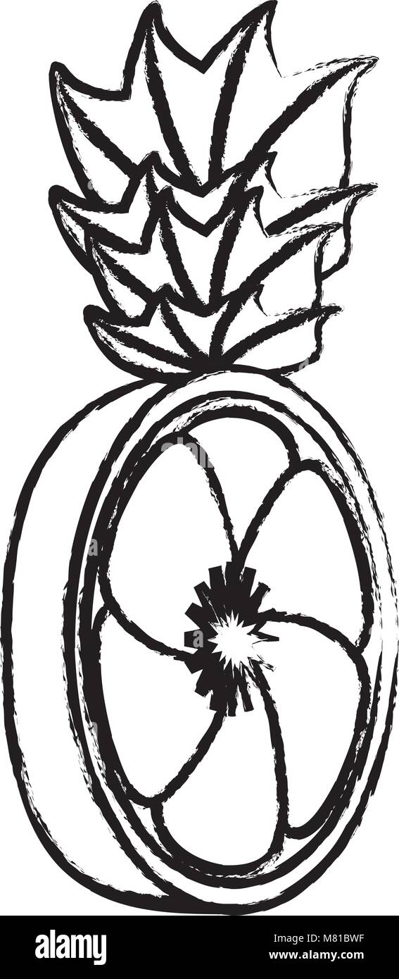 sketch of half of a pineapple fruit icon over white background, vector ...