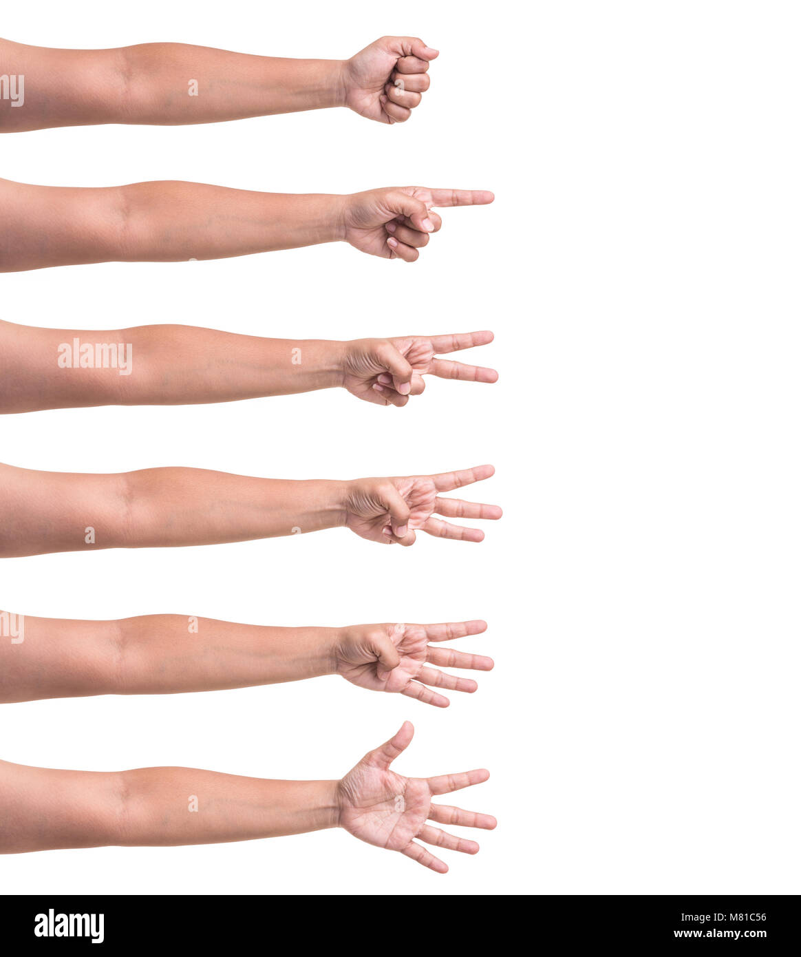 Set of human hand collection showing number one to five isolated on ...