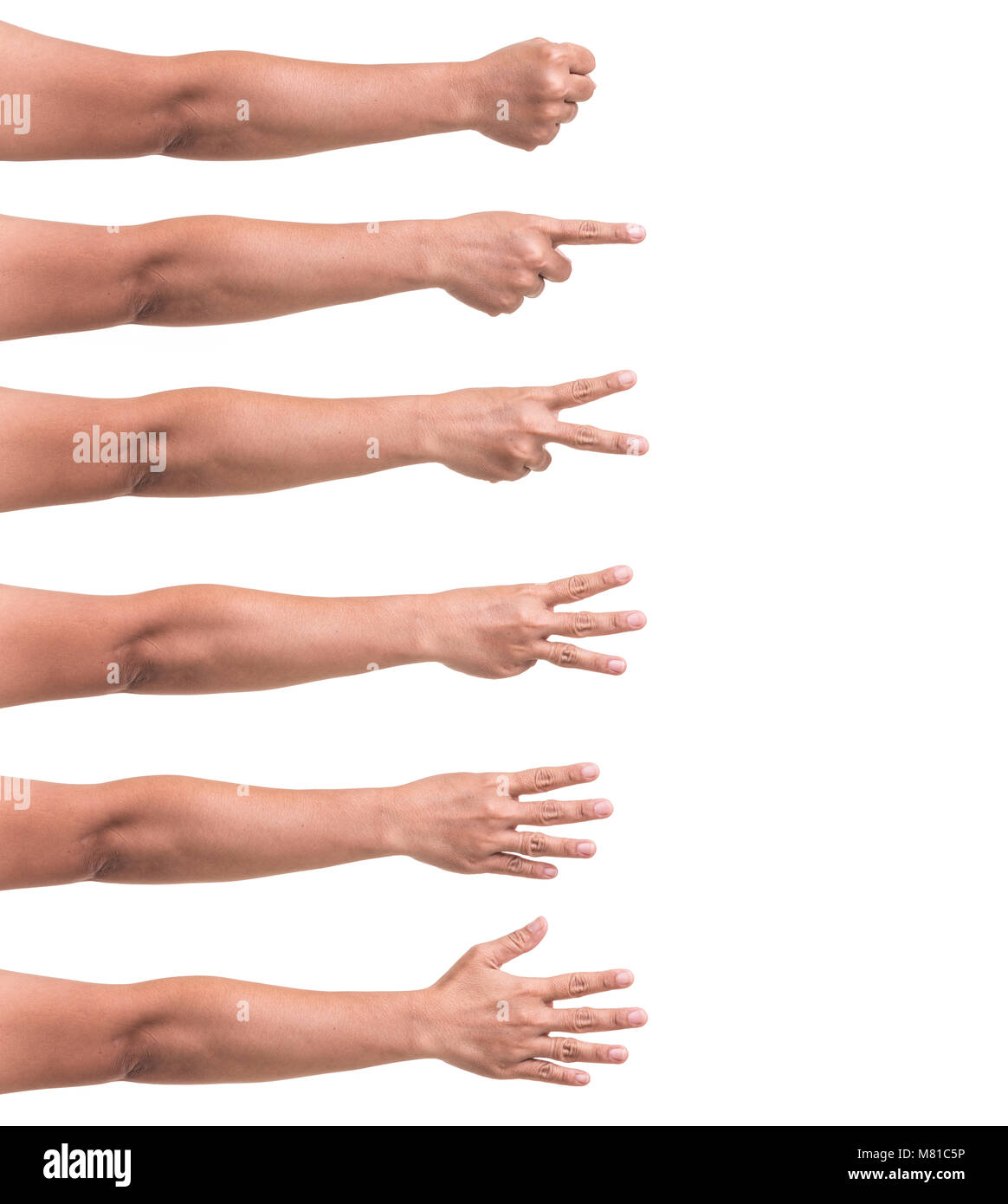 Set of human hand collection showing number one to five isolated on ...