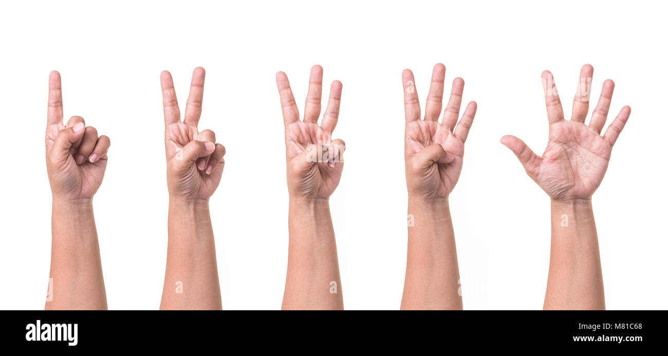 Set of human hand collection showing gestures or sign of number one to ...