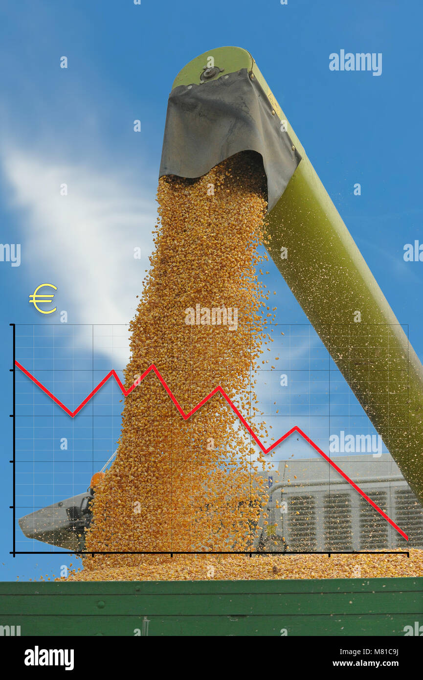 Maize price hi-res stock photography and images - Alamy