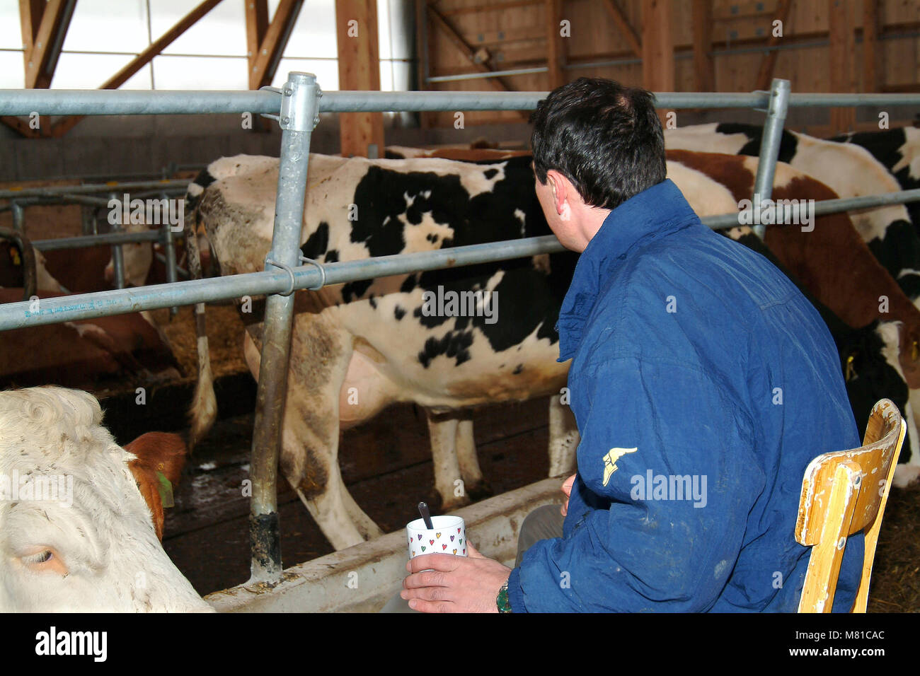 Milk management hi-res stock photography and images - Alamy