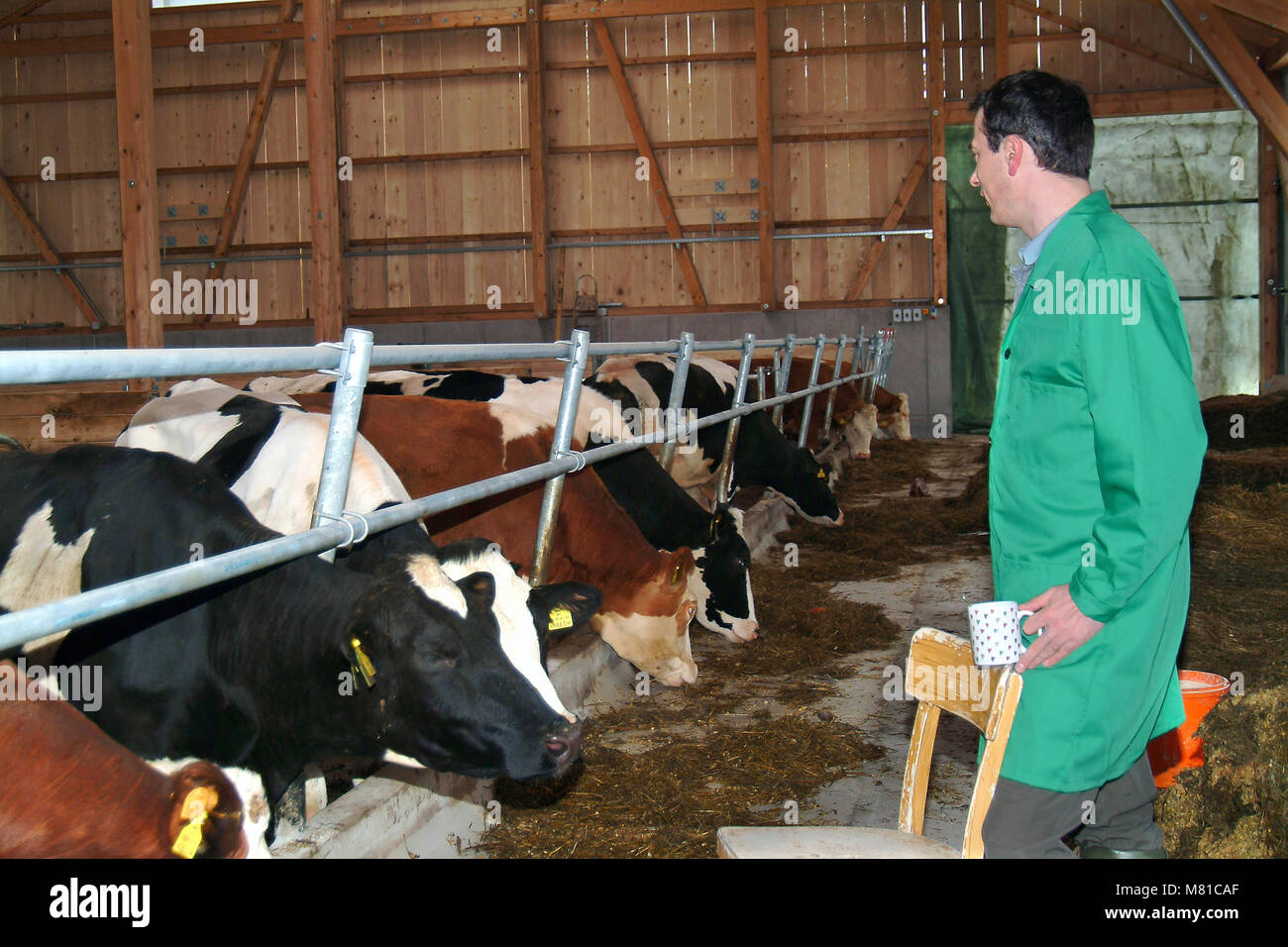 management stable 36 Stock Photo - Alamy